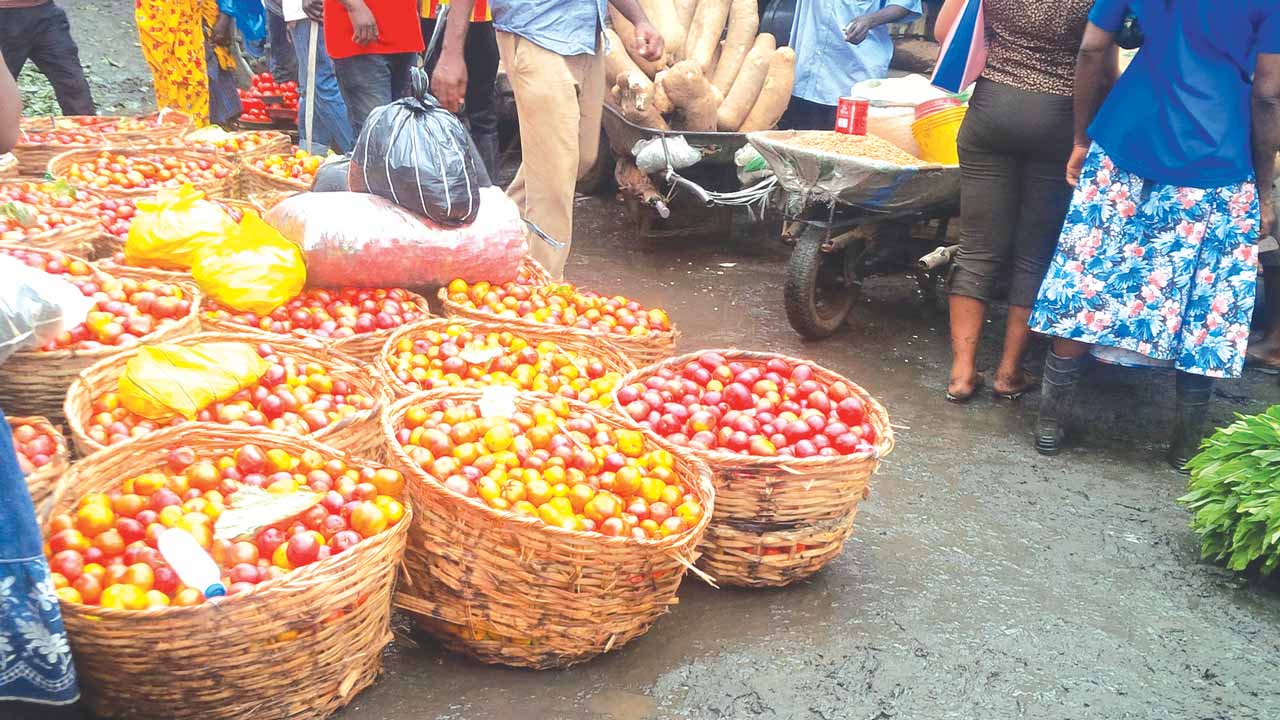 Lagos reopens Mile 12 market – Politics Now